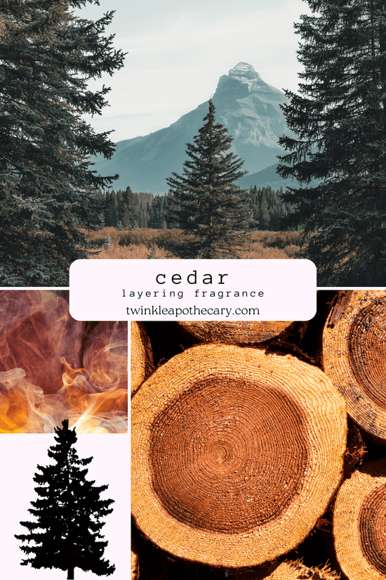 Cedar | Organic Layering Perfume | Twinkle Apothecary