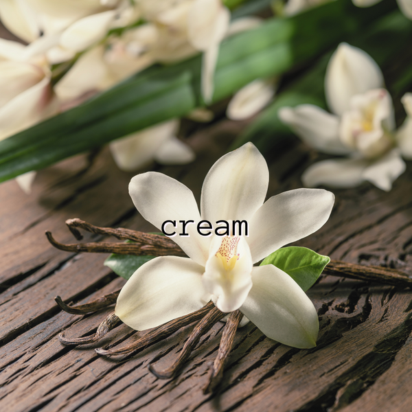 Cream | Organic Layering Perfume | Twinkle Apothecary