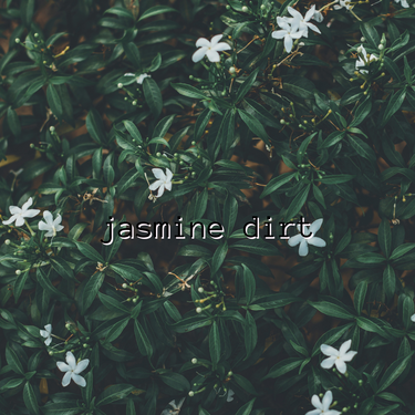 Jasmine Dirt | Organic Perfume | Twinkle Apothecary