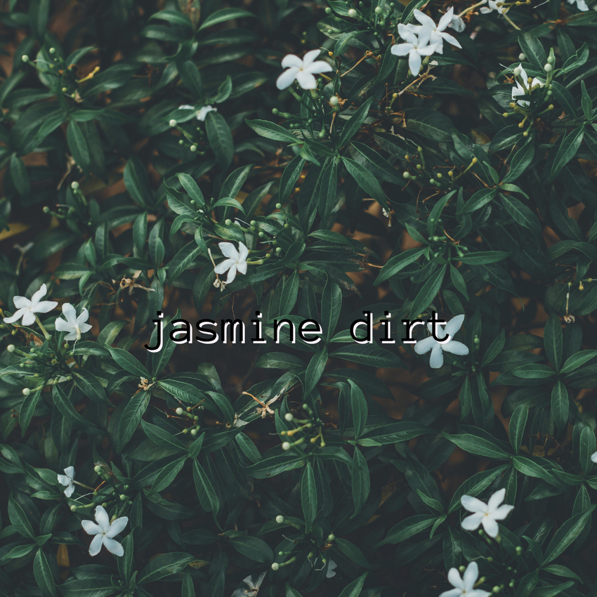 Jasmine Dirt | Organic Perfume | Twinkle Apothecary