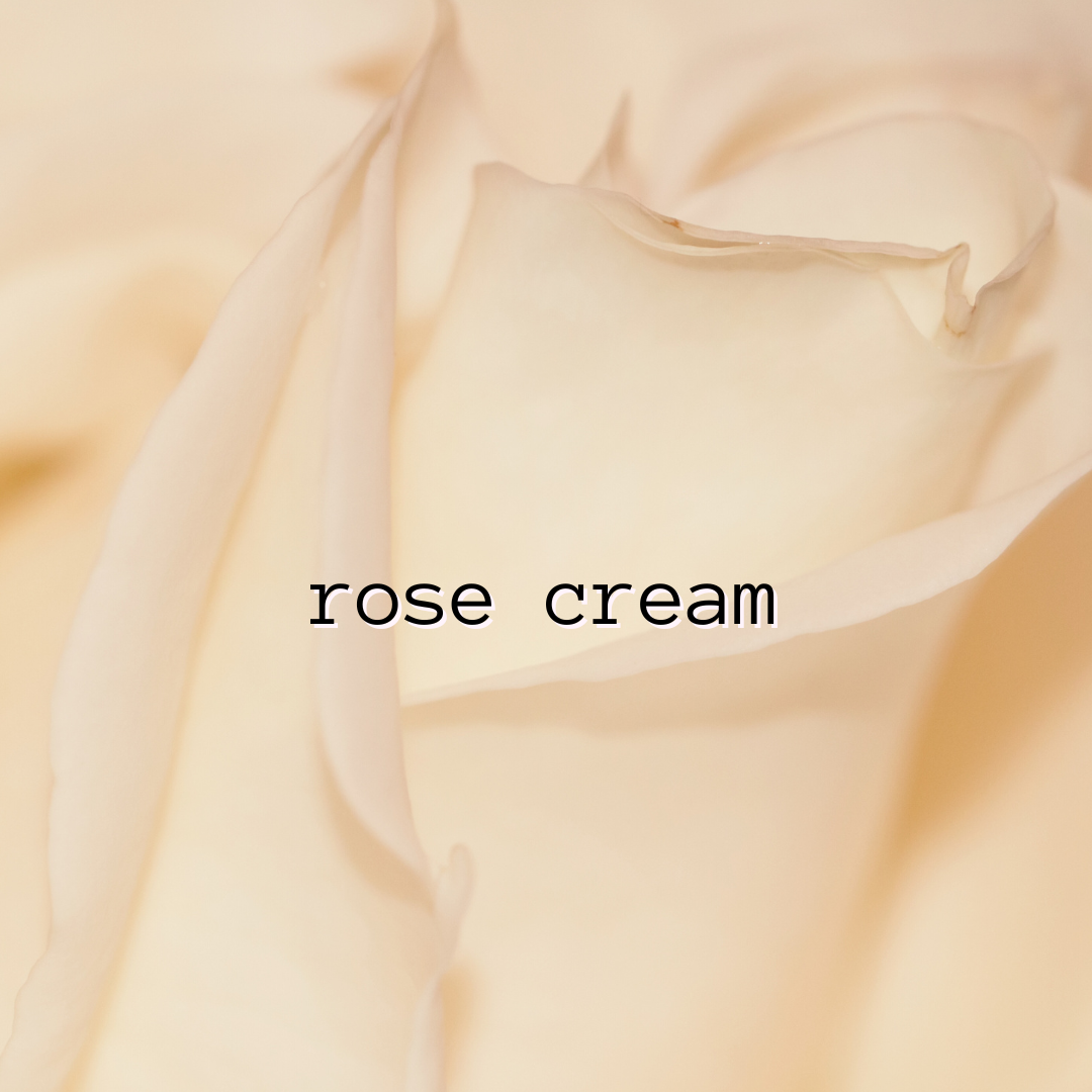 Rose Cream | Twinkle Apothecary | Botanical Fragrances